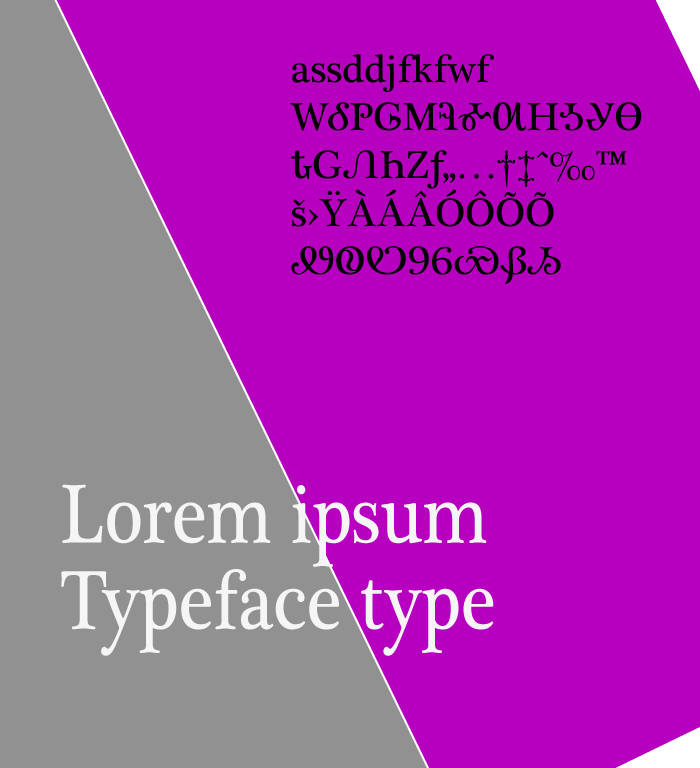 Typeface Or Font NEW MEDIA